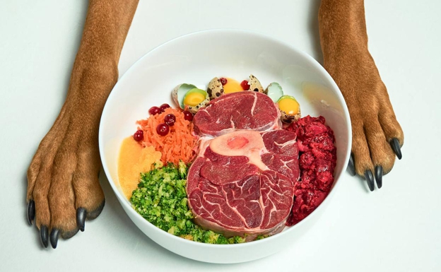 Alimentación Natural La Nueva Tendencia De Comida Para Perros Kienyke